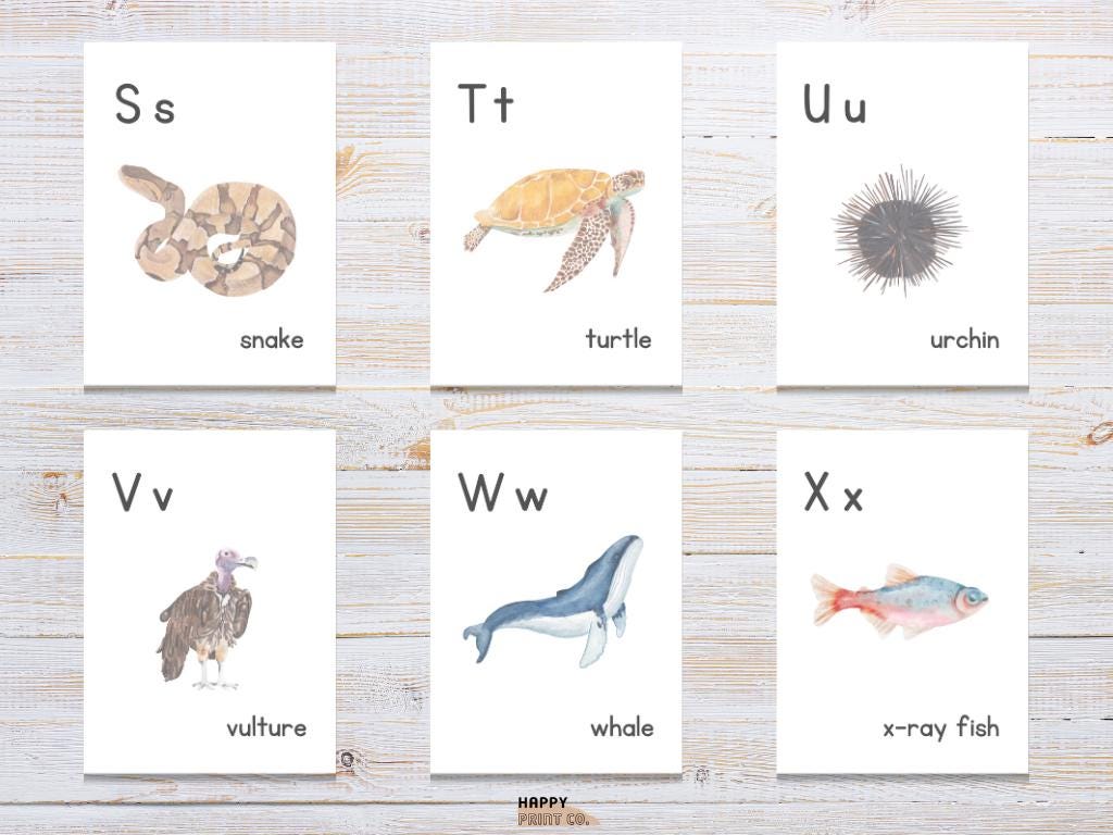 Animal Alphabet Poster: Watercolor ABC Printables (digital Download) - Etsy