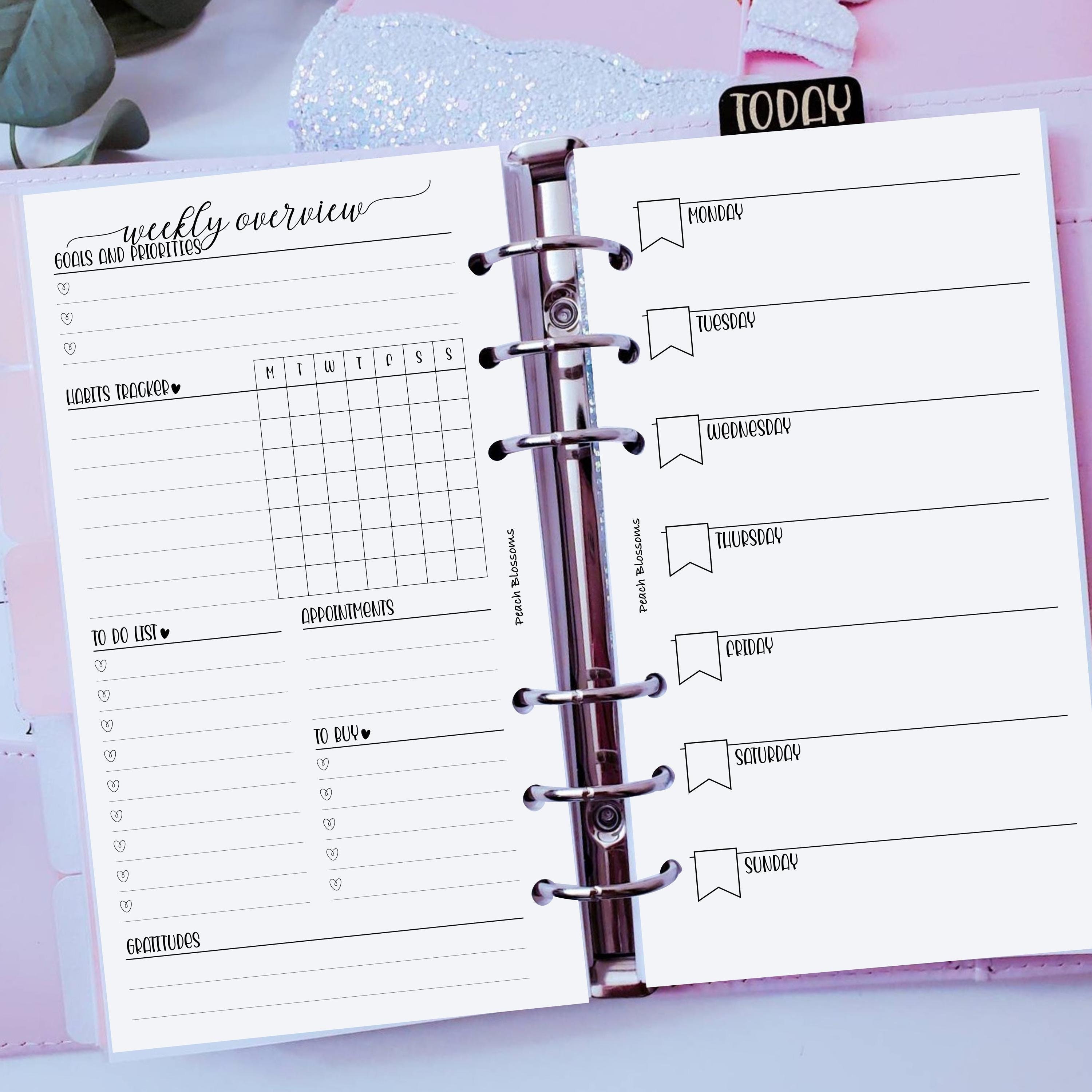 Undated Week on 2 Page With Flags Deco PRINTED Planner Insert Refills ...