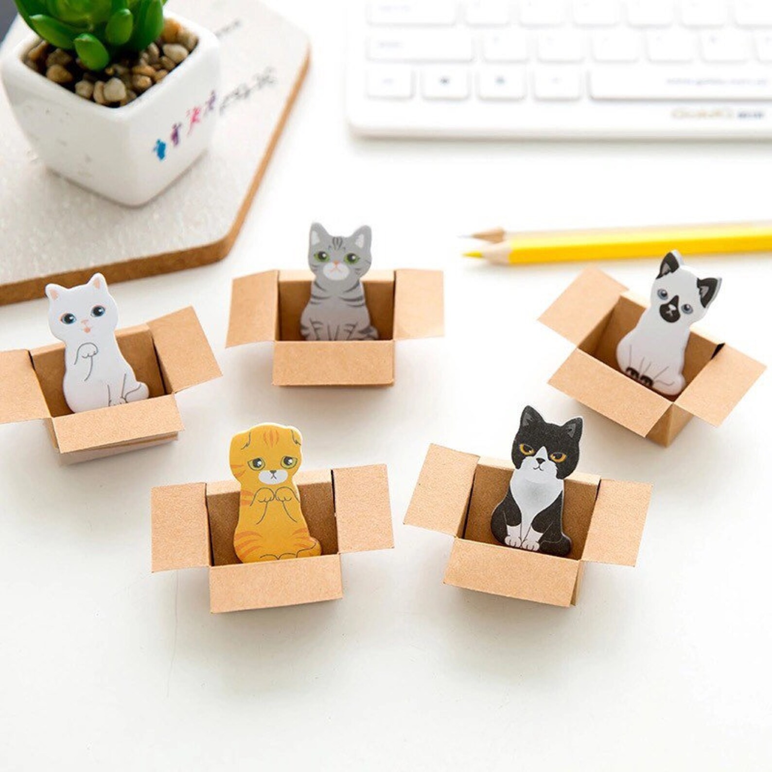 Cat Sticky Notes Box Kitties Kawaii Cute Animals Sticky | Etsy Canada