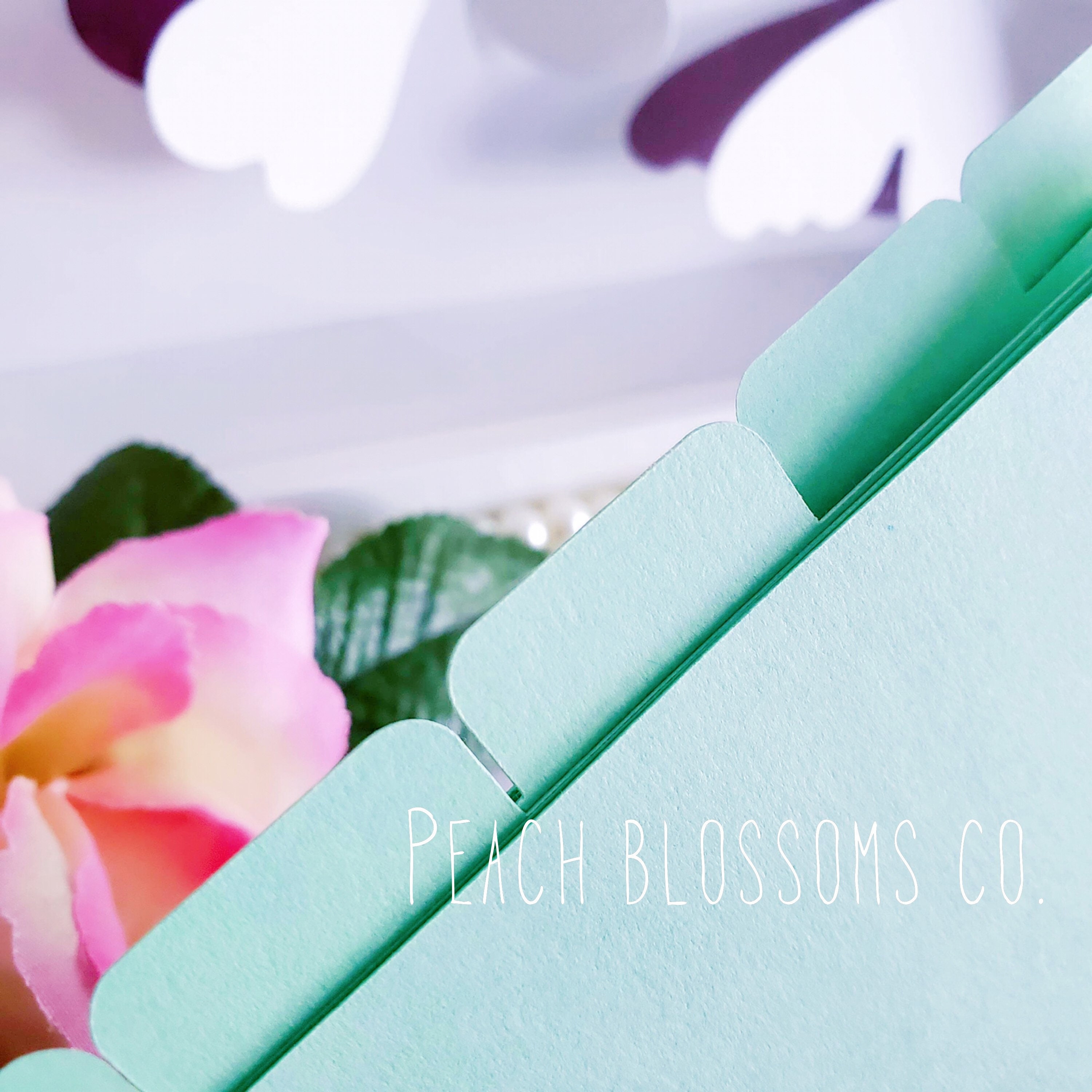 67lb Minimalist Mint Green Lightweight Thin Dividers - Etsy Canada
