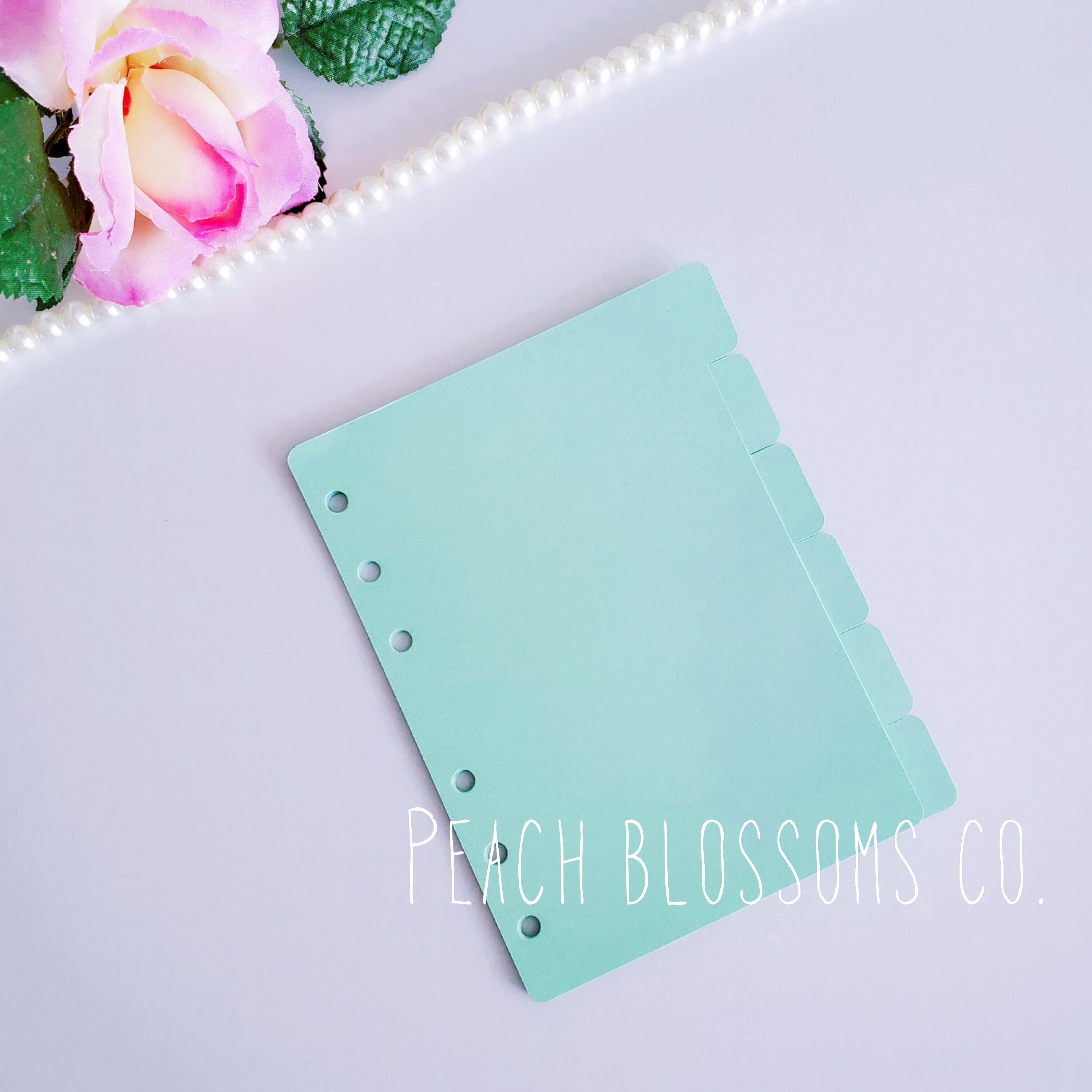 67lb Minimalist Mint Green Lightweight Thin Dividers - Etsy Canada