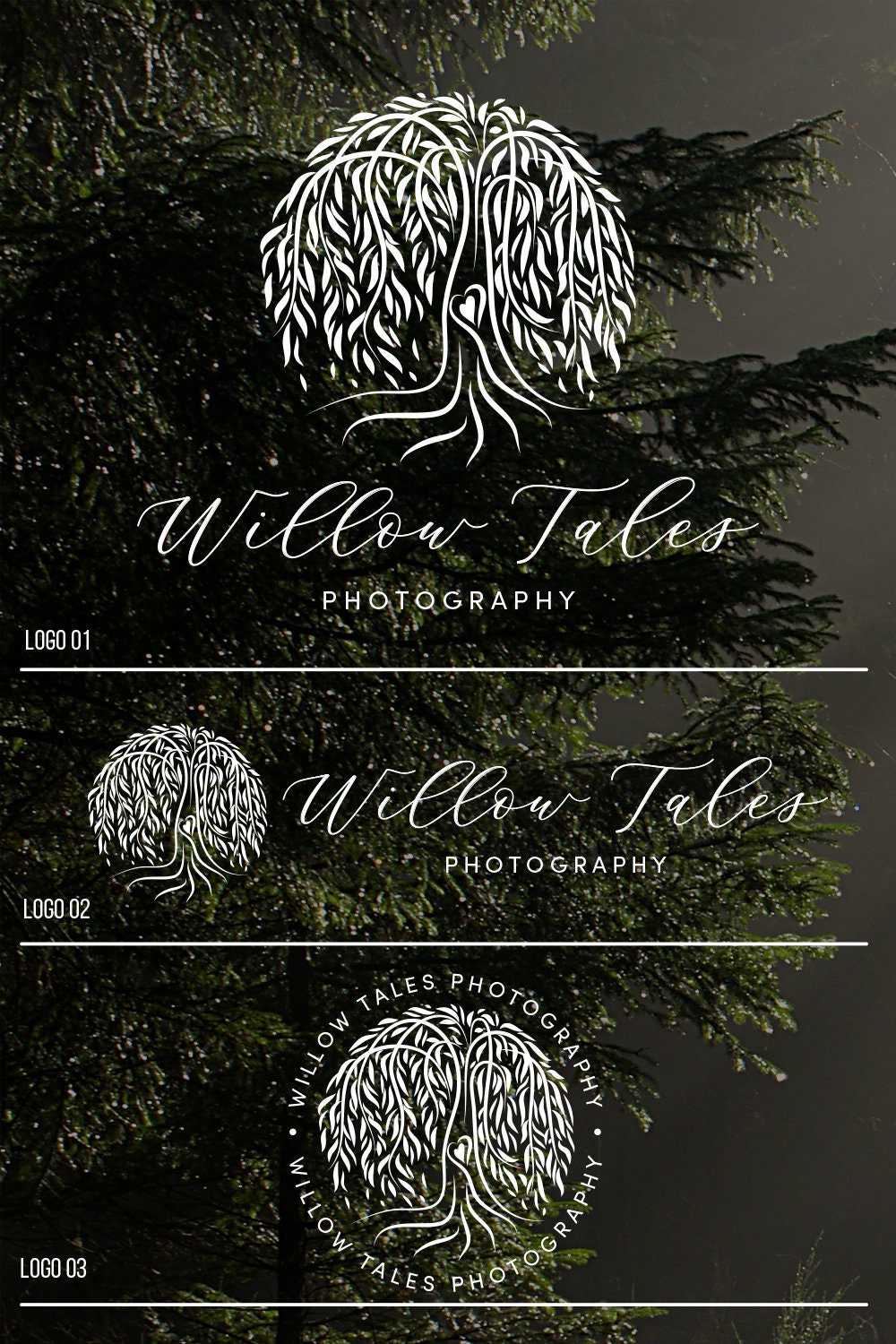 Logo Design Willow Tree Logo Photography Logo and Watermark - Etsy