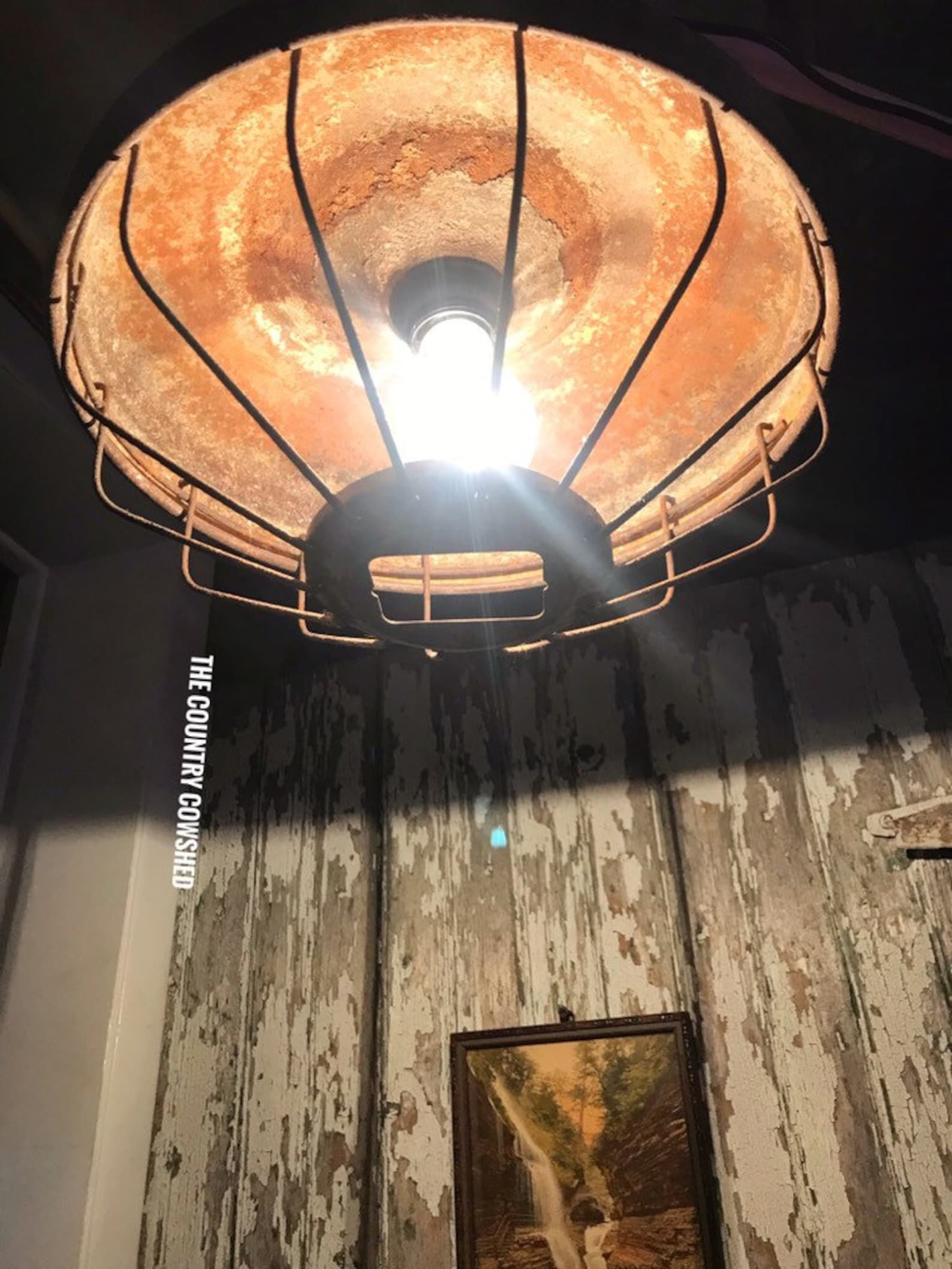 Vintage Chicken Feeder Lamp Vintage Pendant Light - Etsy