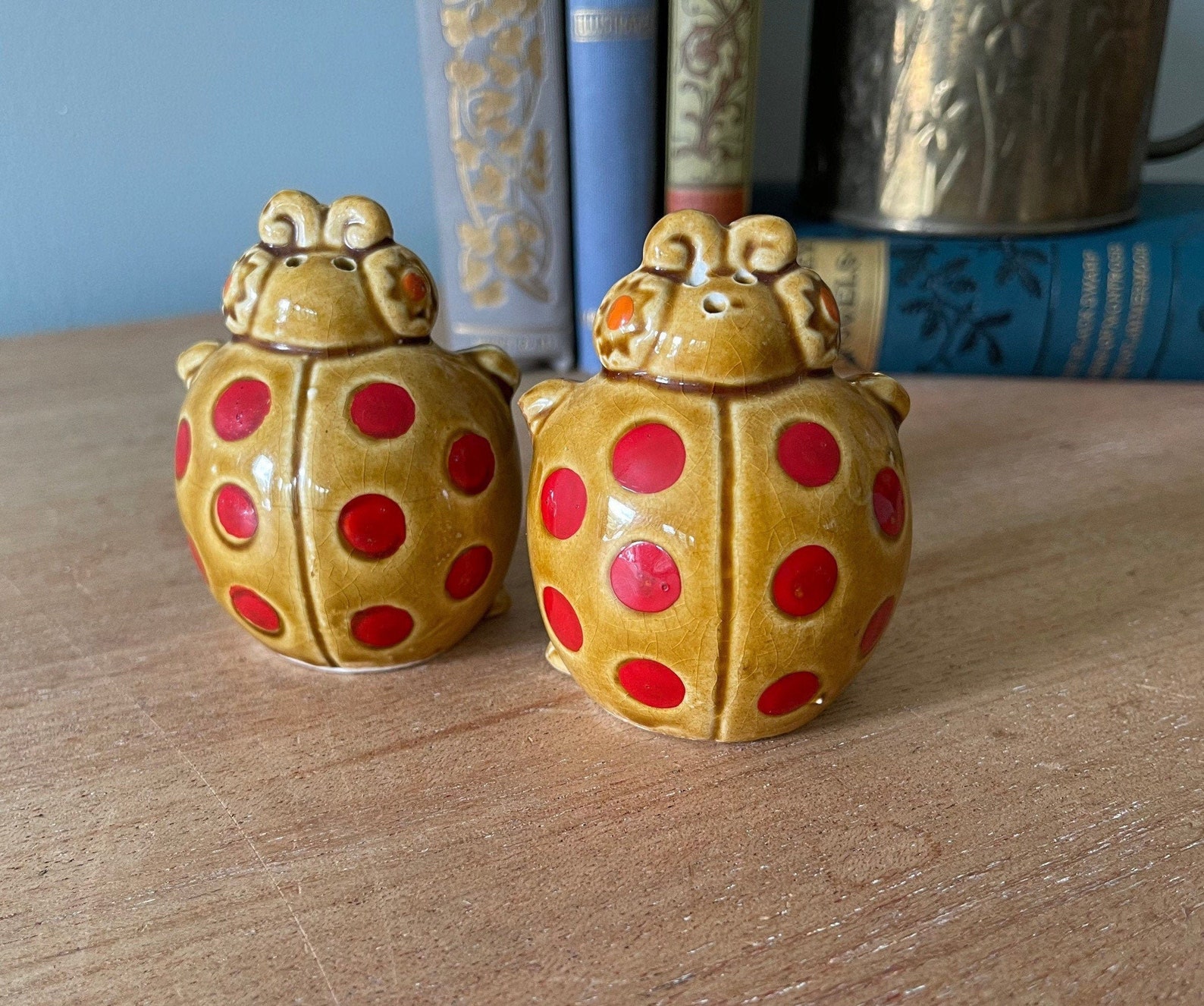 Vintage Lady Bug Salt & Pepper Shakers Ceramic Lady Bugs - Etsy