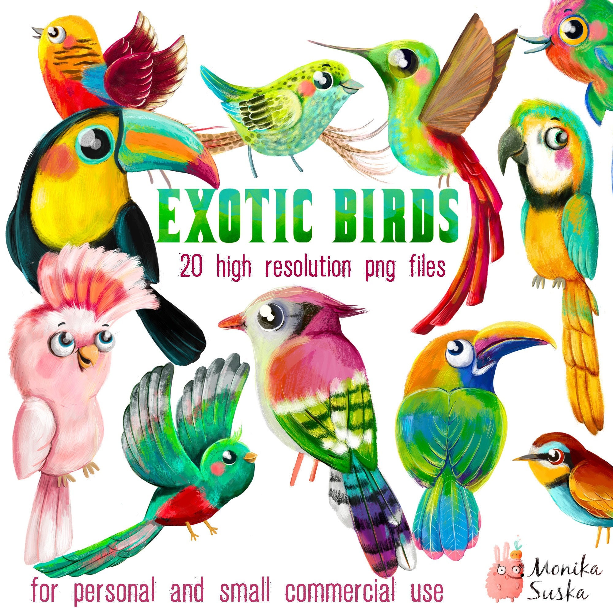 Exotic Birds Clipart, Bird Clipart, Birds Clipart, Tropical Clipart ...