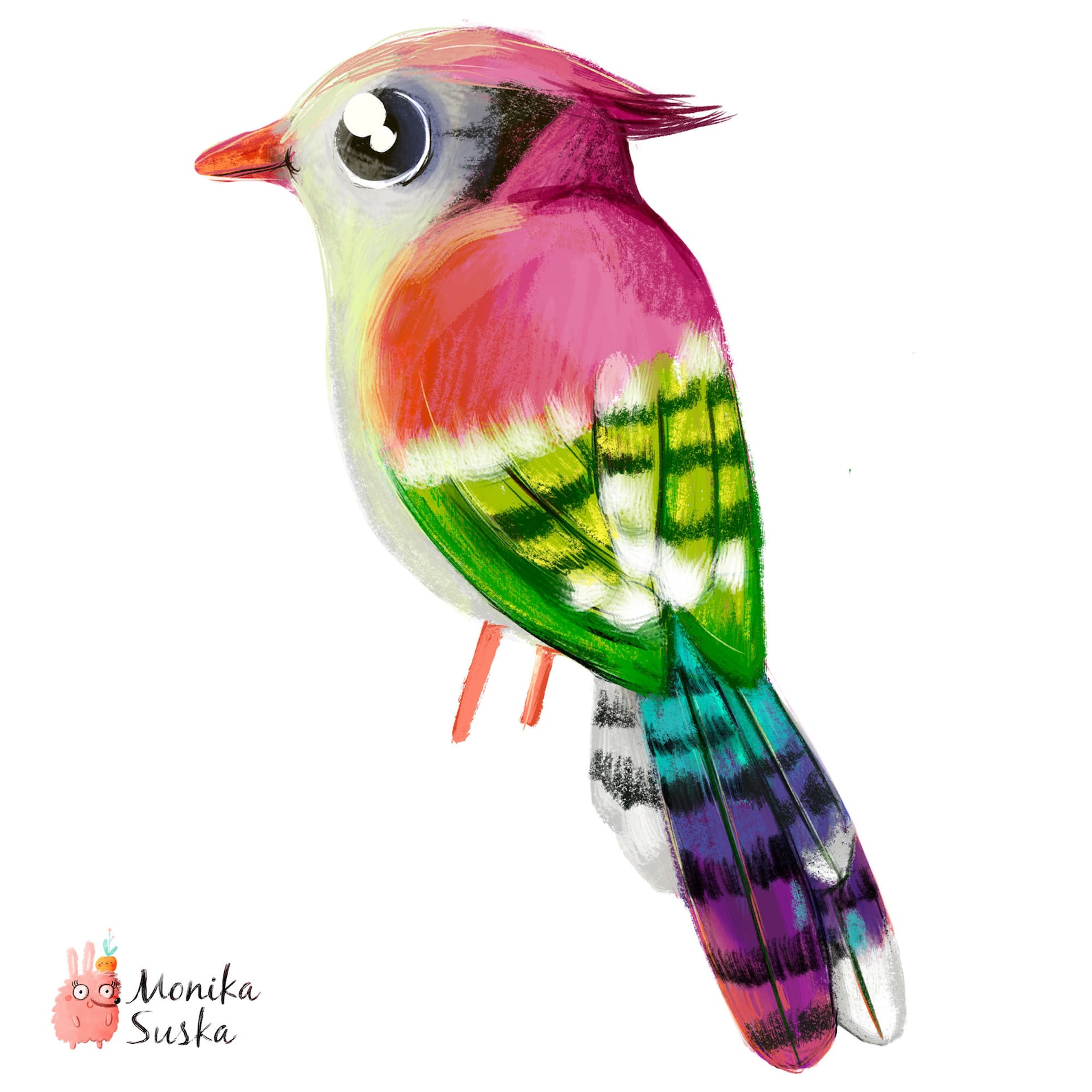 Exotic Birds Clipart, Bird Clipart, Birds Clipart, Tropical Clipart ...