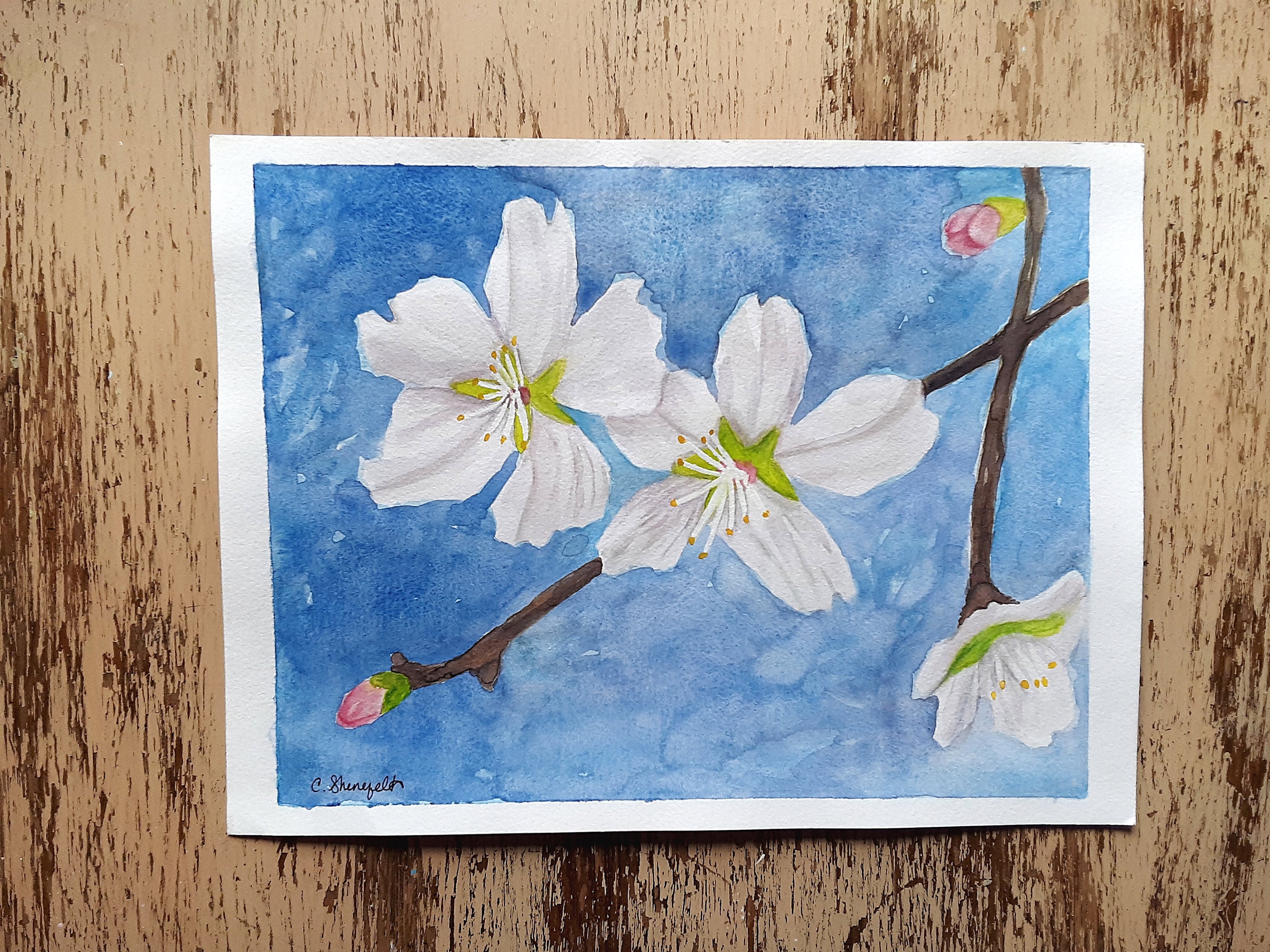 Flowering Tree Watercolor Flowers Original Painting Affordable Art ...