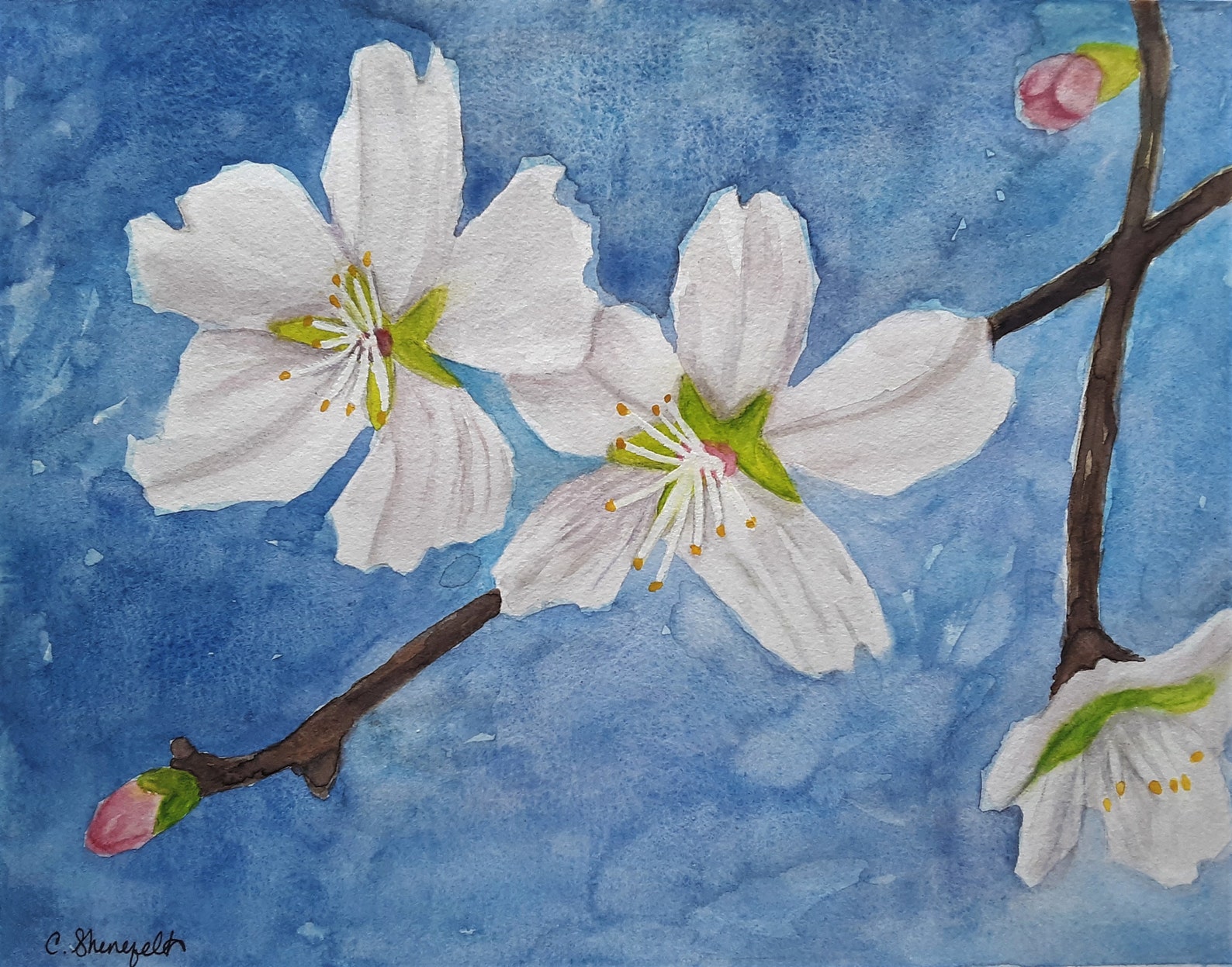 Flowering Tree Watercolor Flowers Original Painting Affordable Art ...