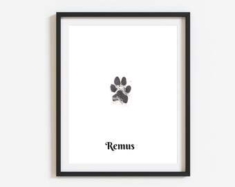 Inkless Pet Paw Print Kit Get High-quality Paw Prints With Zero Ink Non ...