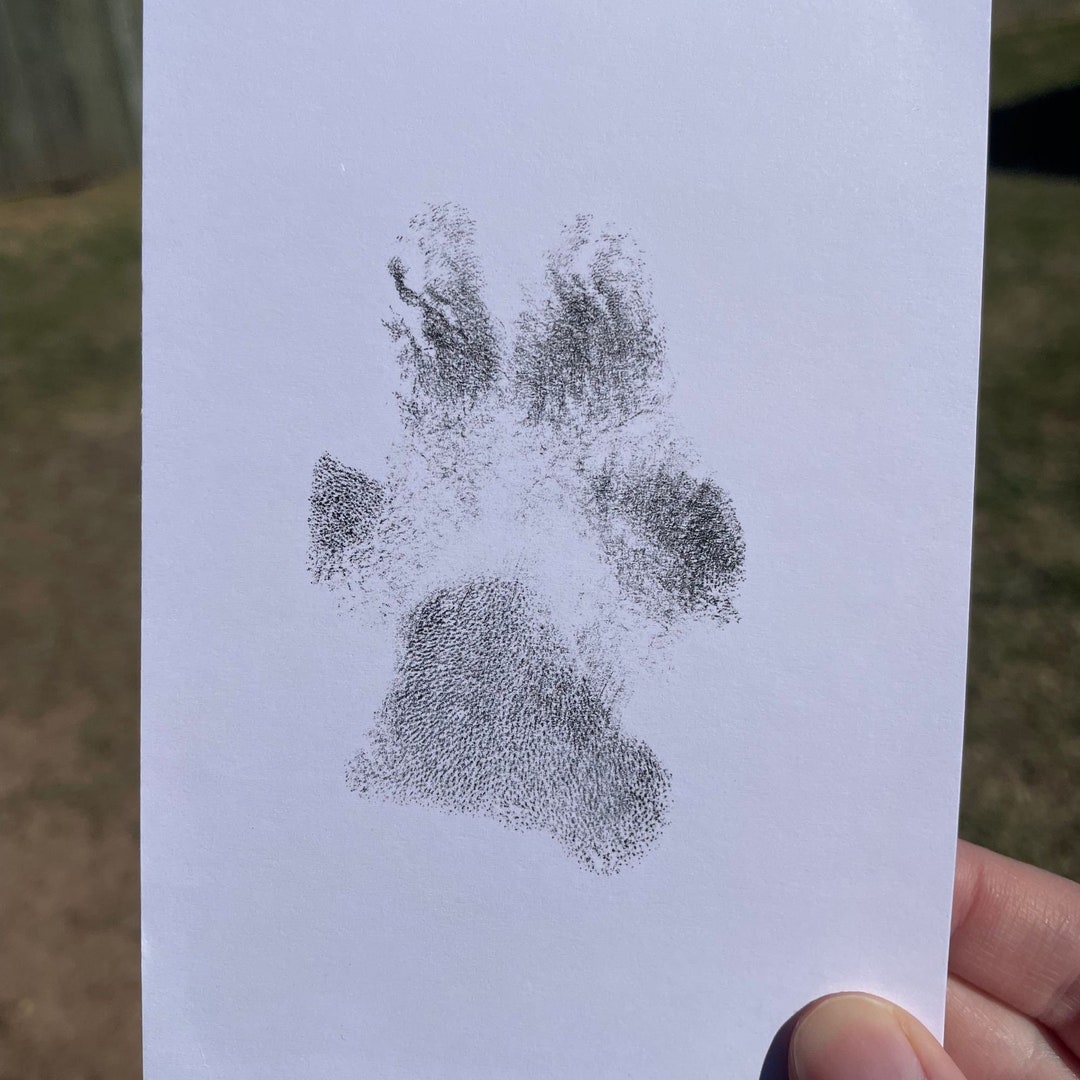 Custom Paw Print Gift for Dog Cat Moms Personalized Ink Boop Kit - Etsy