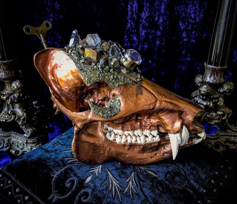 Javelina Skull Crystallized Skull Steampunk Taxidermy | Etsy