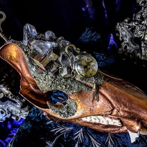 Javelina Skull Crystallized Skull Steampunk Taxidermy Crystal Animal ...