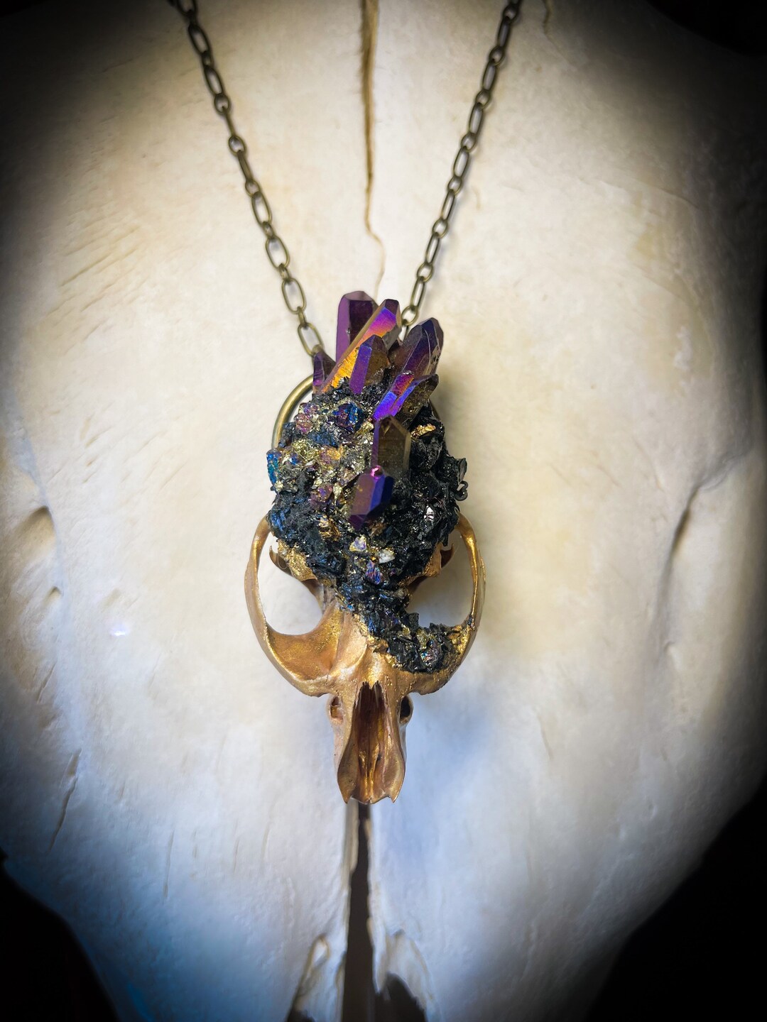 Crystallized Muskrat Skull, Bone Necklace, Bone Pendant, Skull Pendant ...