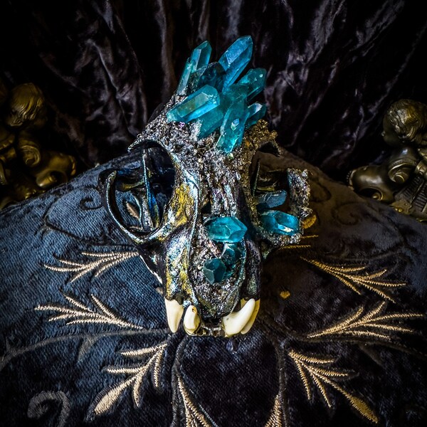 Bobcat Skull - Etsy