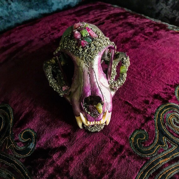 Bobcat Skull Crystallized Skull Taxidermy Animal Bones | Etsy
