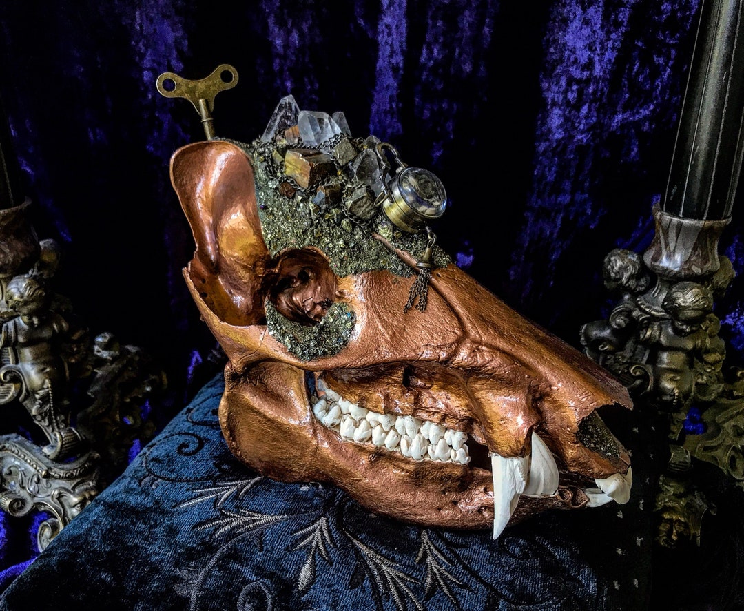 Javelina Skull Crystallized Skull Steampunk Taxidermy Crystal Animal ...