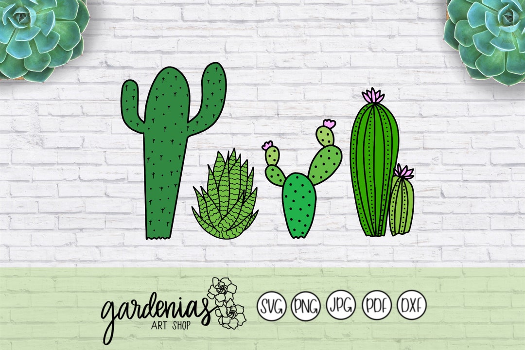 Cactus Bundle Svg, Succulent Clip Art, Succulents Svg, Cacti Svg ...