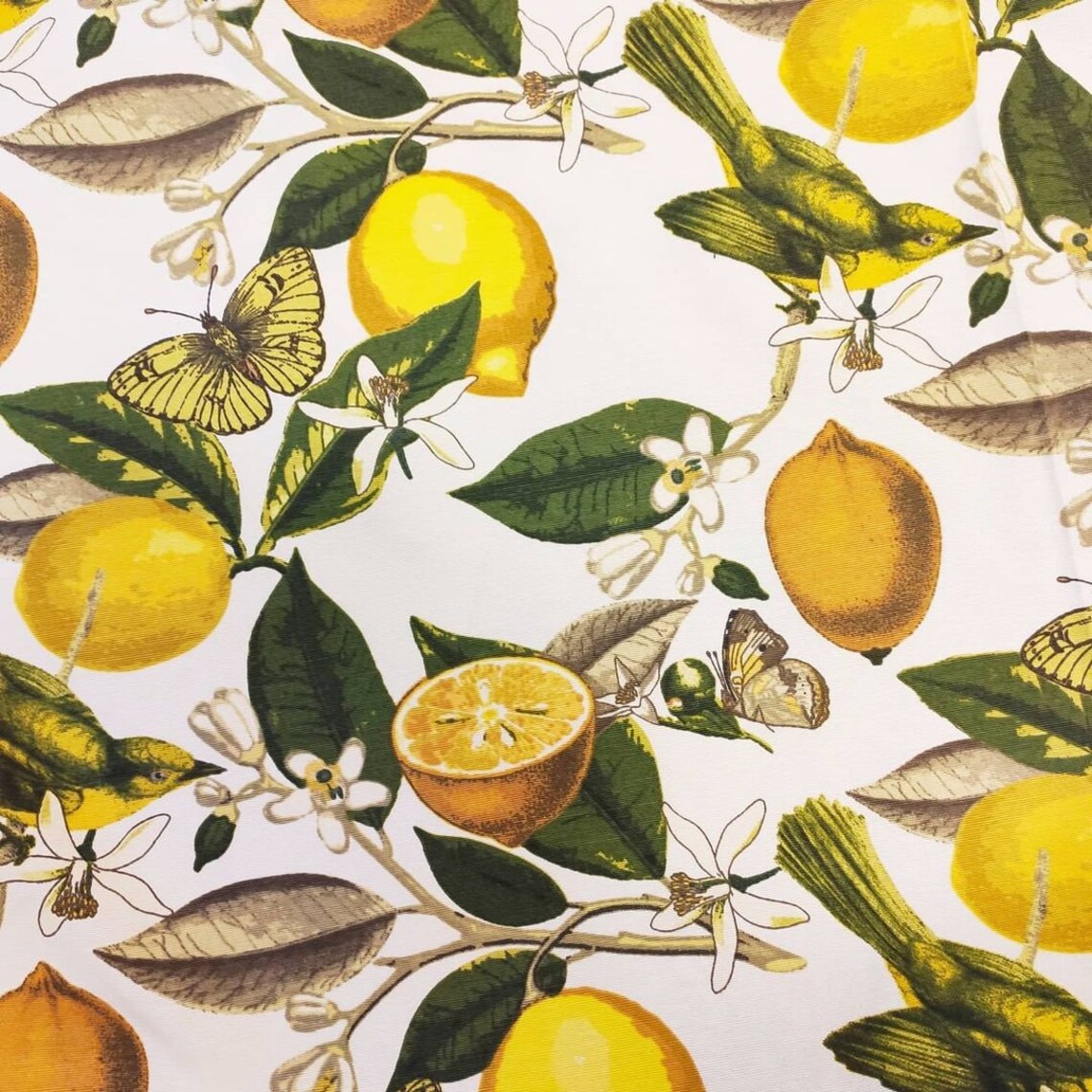 Lemon waterproof tablecloth lemon tablecloth teflon | Etsy