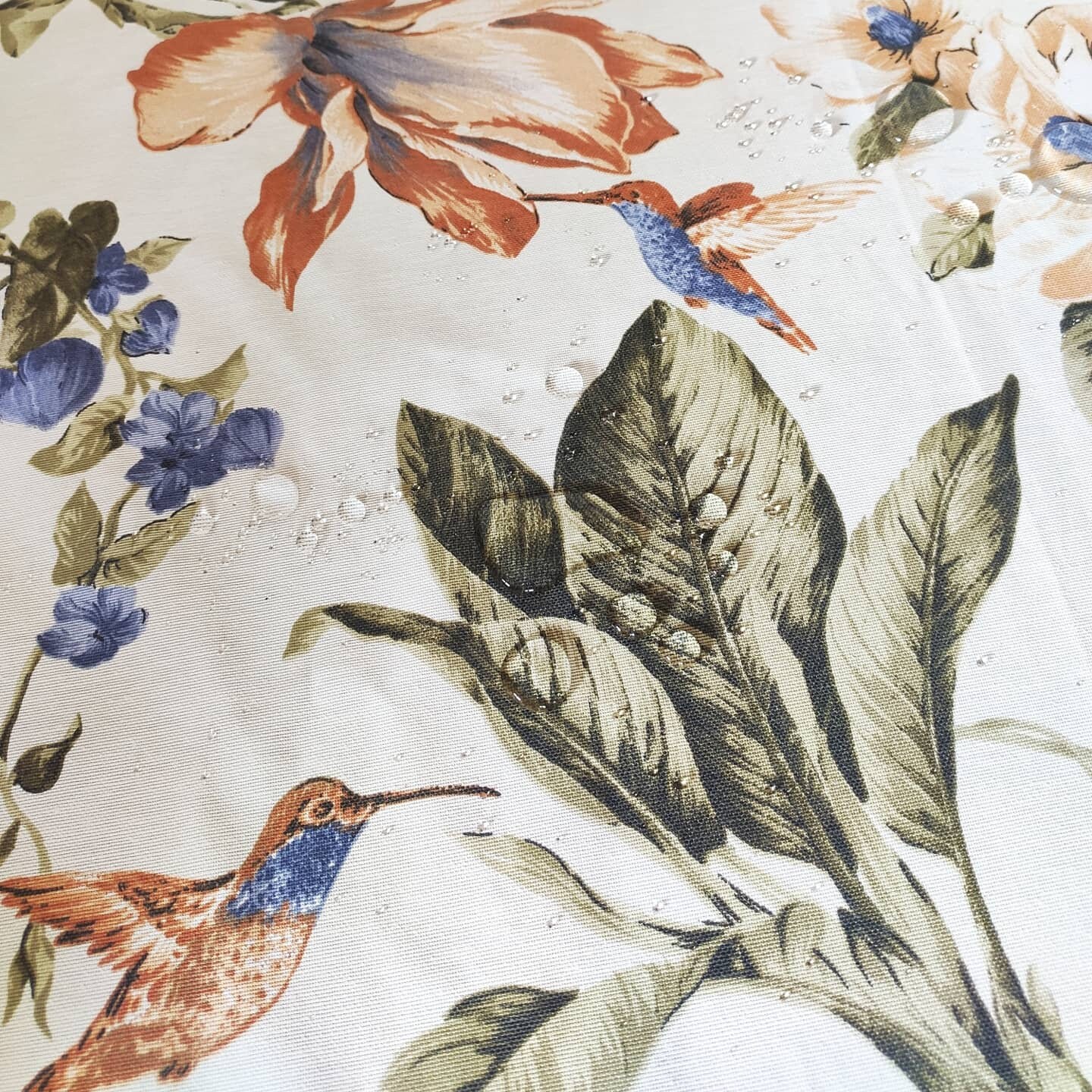 Waterproof Tablecloth Hummingbird, Table Cover Bird, Teflon Tablecloth ...