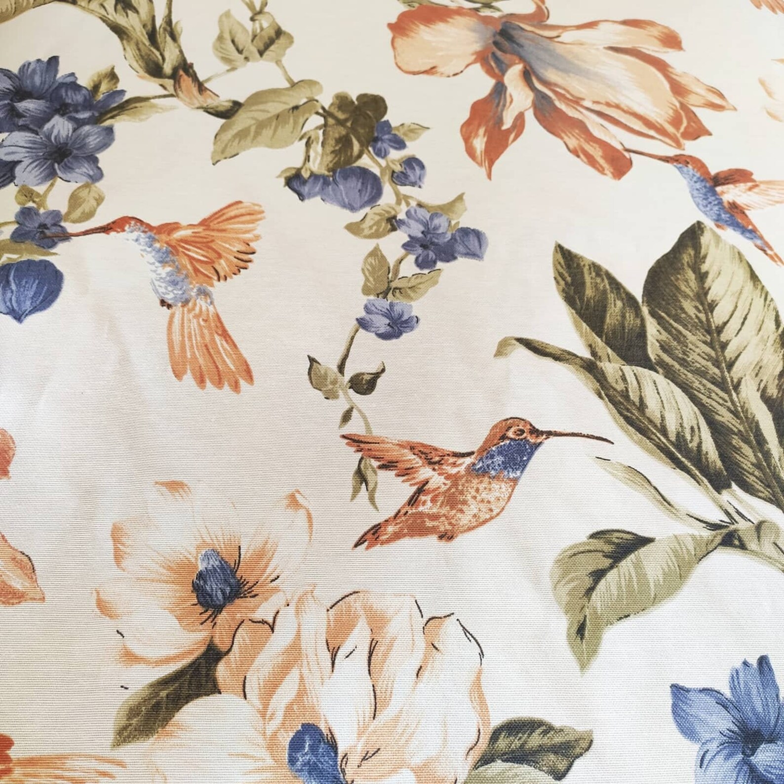 Waterproof Tablecloth Hummingbird, Table Cover Bird, Teflon Tablecloth ...