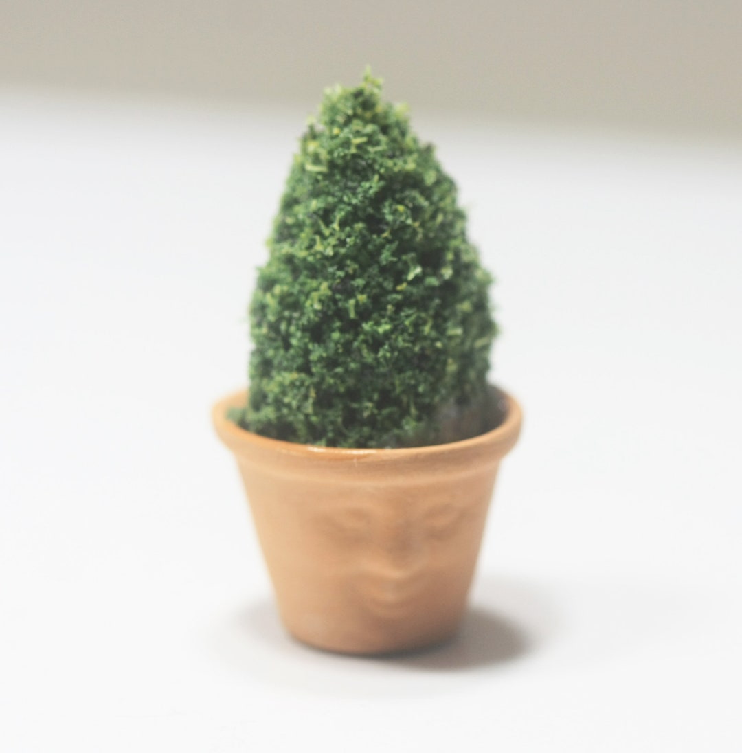Dollhouse Miniature Topiary in a Funny Face Clay Pot - Etsy