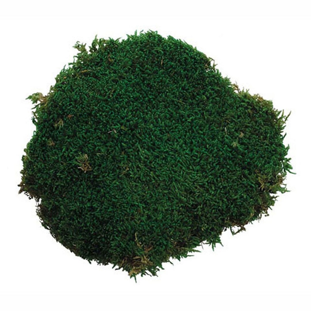 Dollhouse Miniature Preserved Sheet Moss 2oz - Etsy