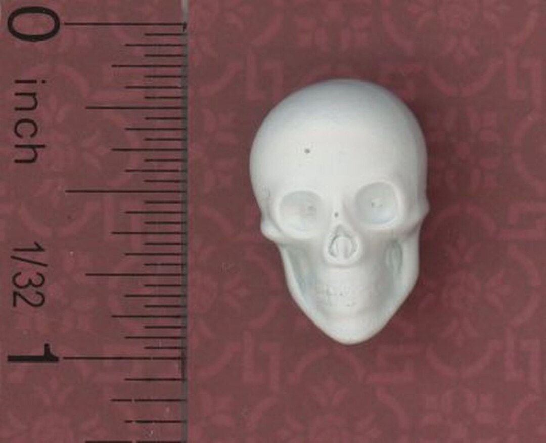 Miniature Human Skull by Multi Minis - Etsy