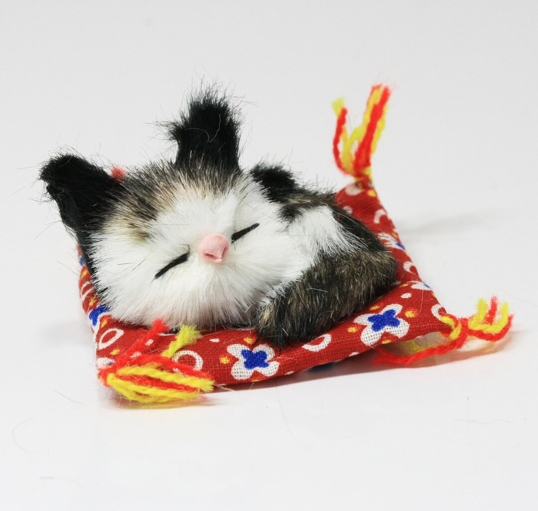 Miniature Furry Cat on a Cat Bed - Etsy
