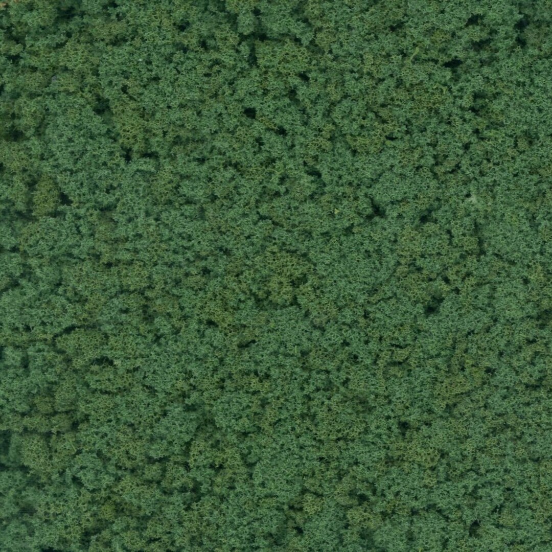 Dollhouse Miniature Fine Foliage Turf Evergreen Mix (25gm) by Model ...