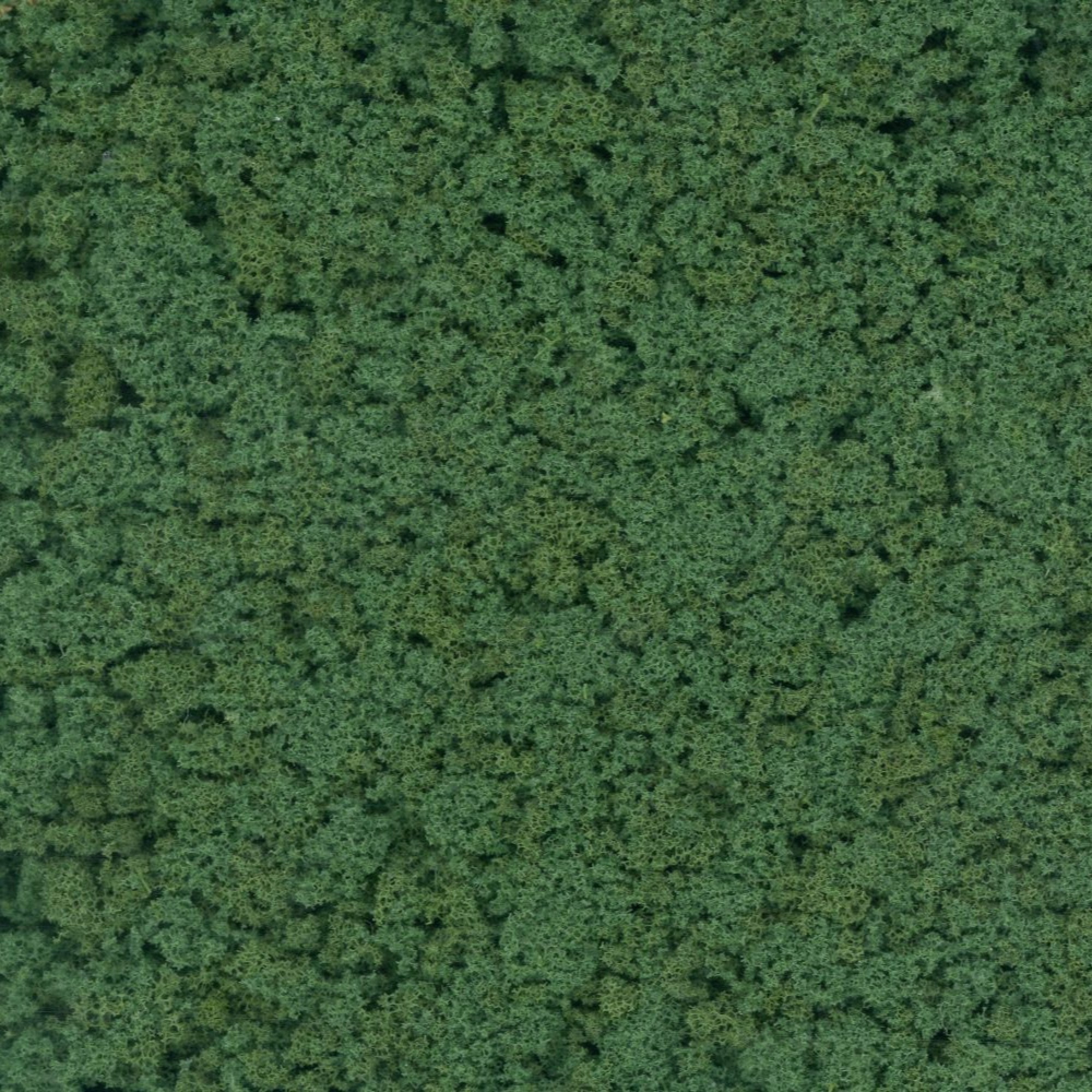 Dollhouse Miniature Fine Foliage Turf Evergreen Mix (25gm) by Model ...