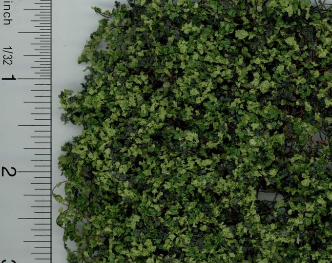 Miniature Abundance English Ivy 2.5 Pot Terrarium/fairy Garden/house ...