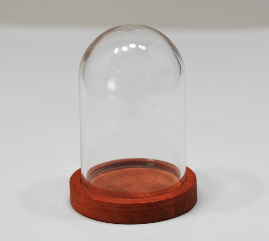 Dollhouse Miniature - Small Glass Dome With Dark Wood Base - Etsy