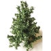 Dollhouse Miniature Christmas Holiday Evergreen Tree Kit by Creative ...
