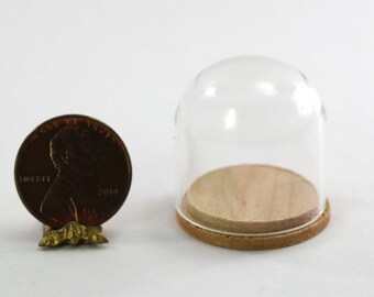 Glass Dome Display Case | Etsy