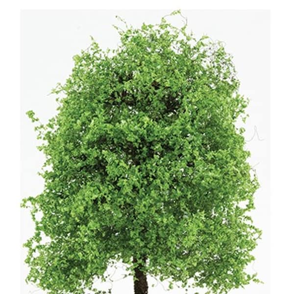 Miniature Oak Tree - Etsy