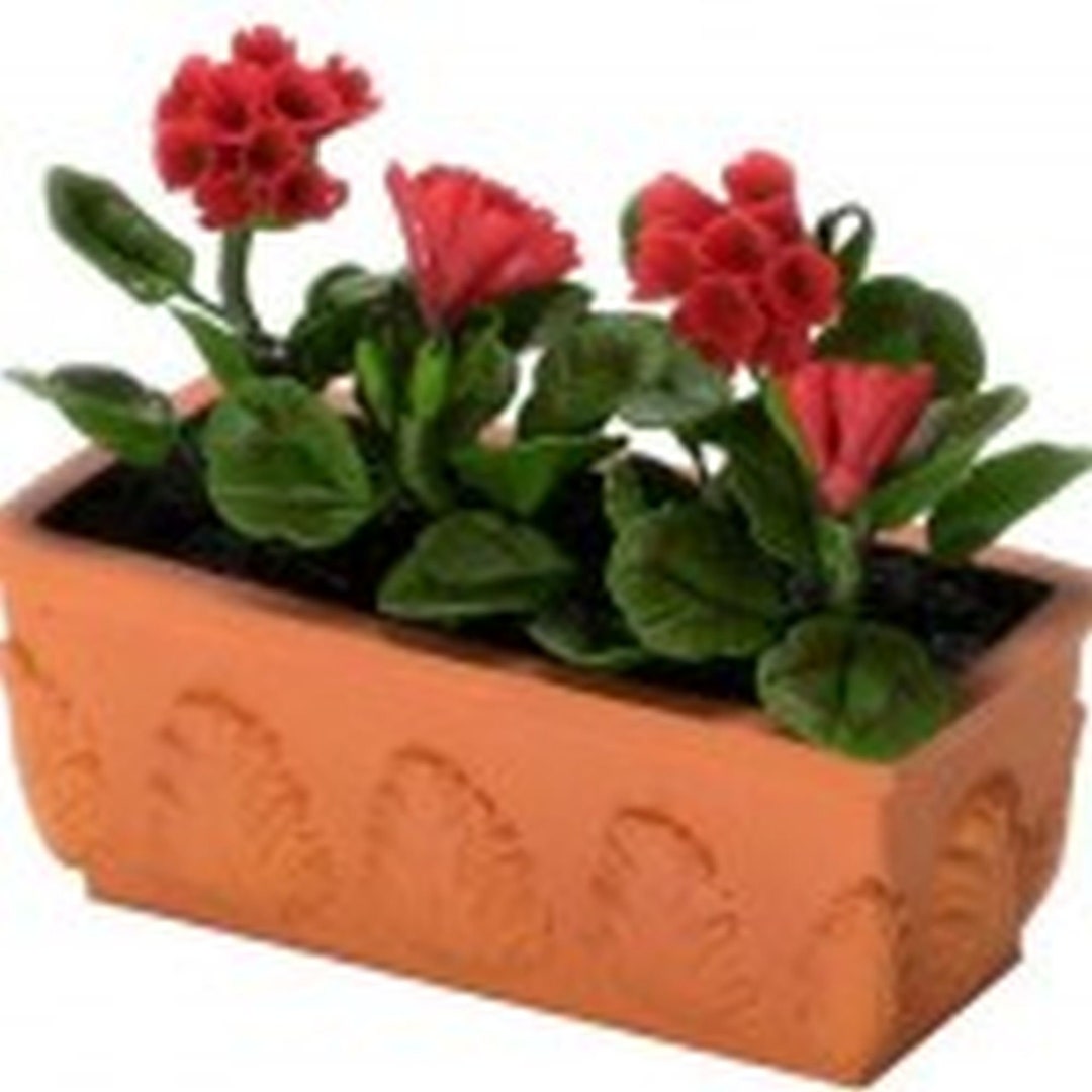 Dollhouse Miniature Terracotta Window Box Filled W/red Geraniums by ...