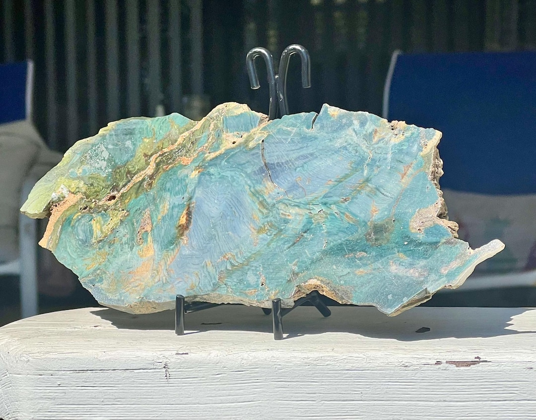 Mcdermitt Oregon Petrified Bogwood Larsonite Jasper Slab With Stand - Etsy