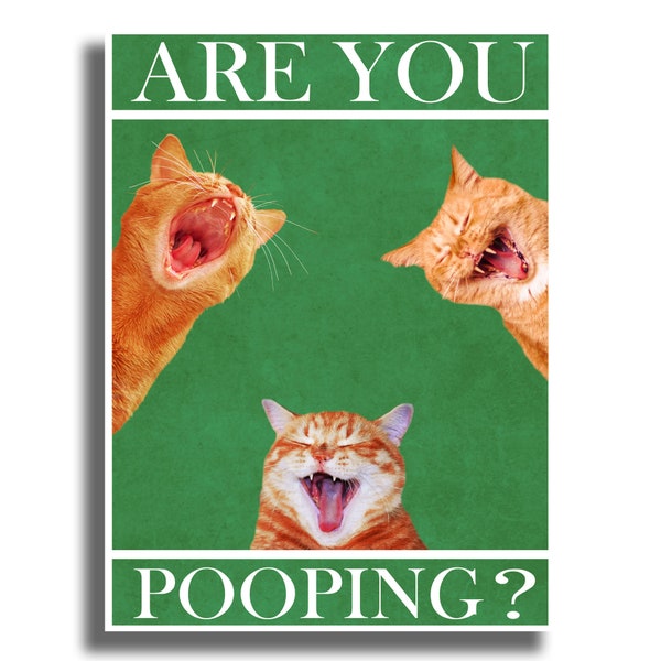 Are You Pooping Cat Poster - Etsy
