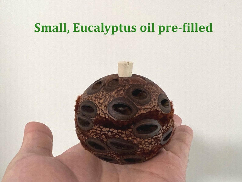 Banksia Pod Diffuser - High Quality (choose Size) Eucalyptus Oil ...