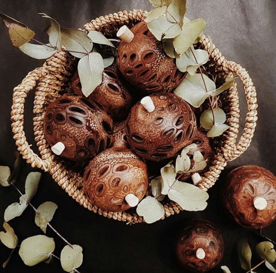 Banksia Pod Diffuser - High Quality (choose Size) Eucalyptus Oil ...