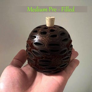 Banksia Pod Diffuser - High Quality (choose Size) Eucalyptus Oil ...