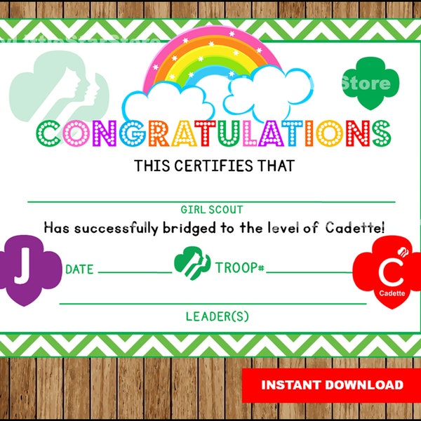 Junior Bridging Certificate - Etsy