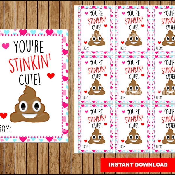 Valentines Card Poop - Etsy
