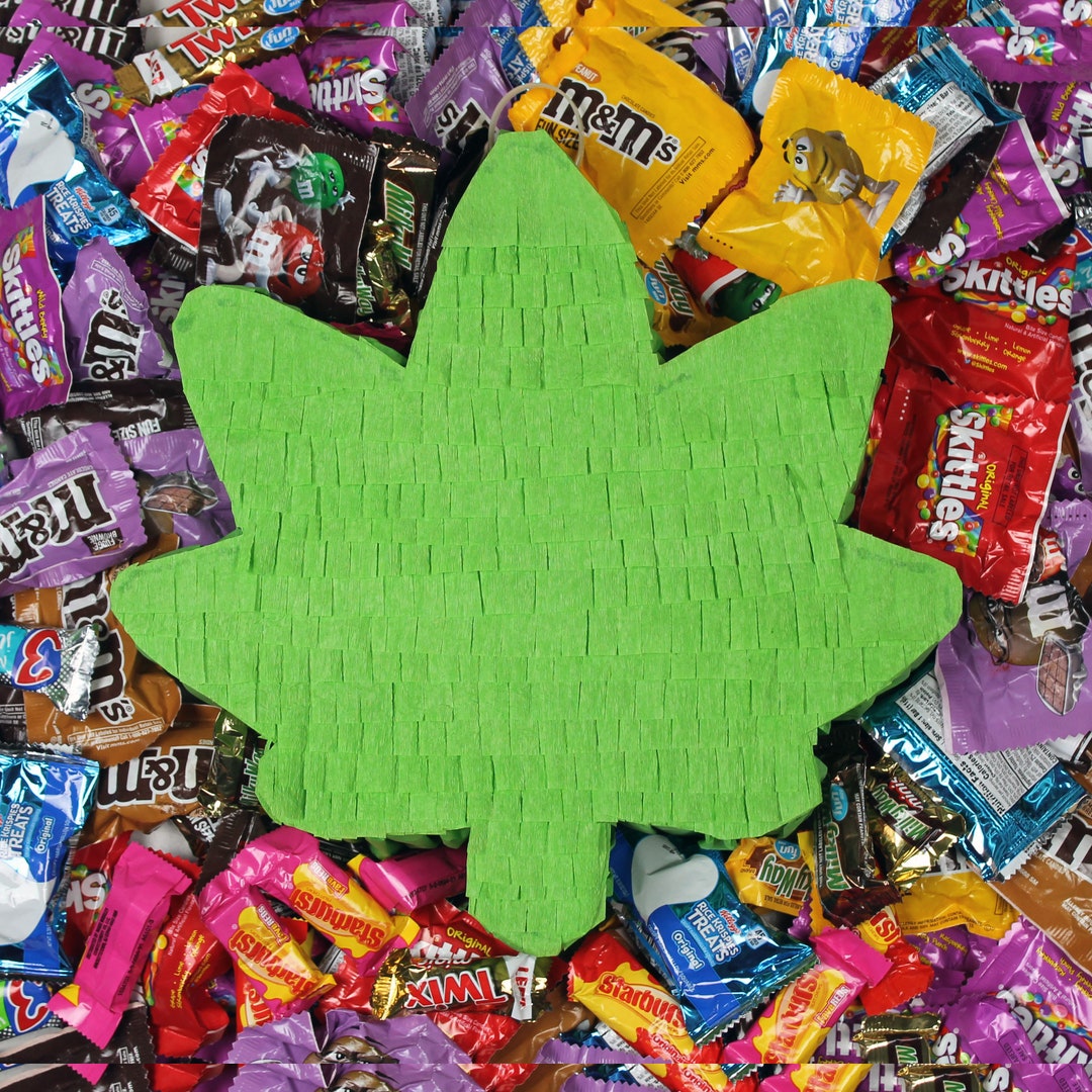 Little Planta Piñata: Your Stoner Gift for Her, Weed Gift for Him & 420 ...