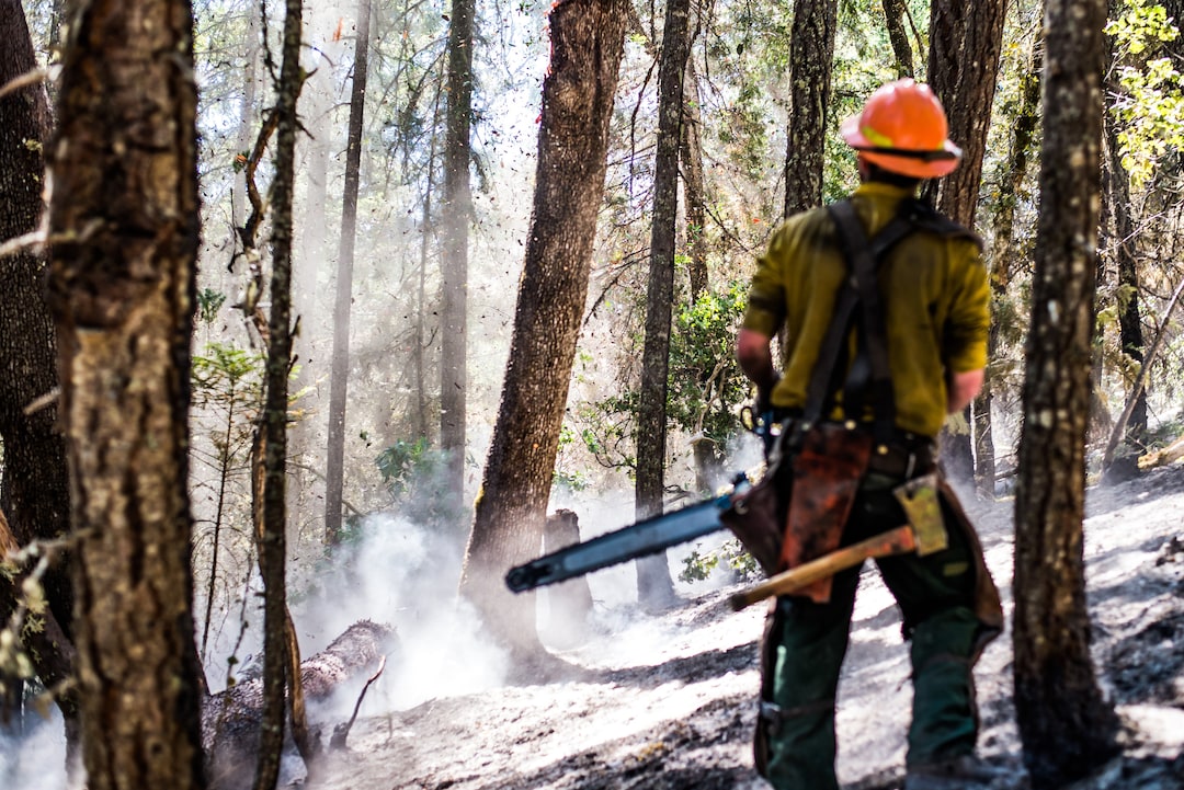 Fine Art Photography Prints "autumn Early": Wildland Fire, Firefighting ...