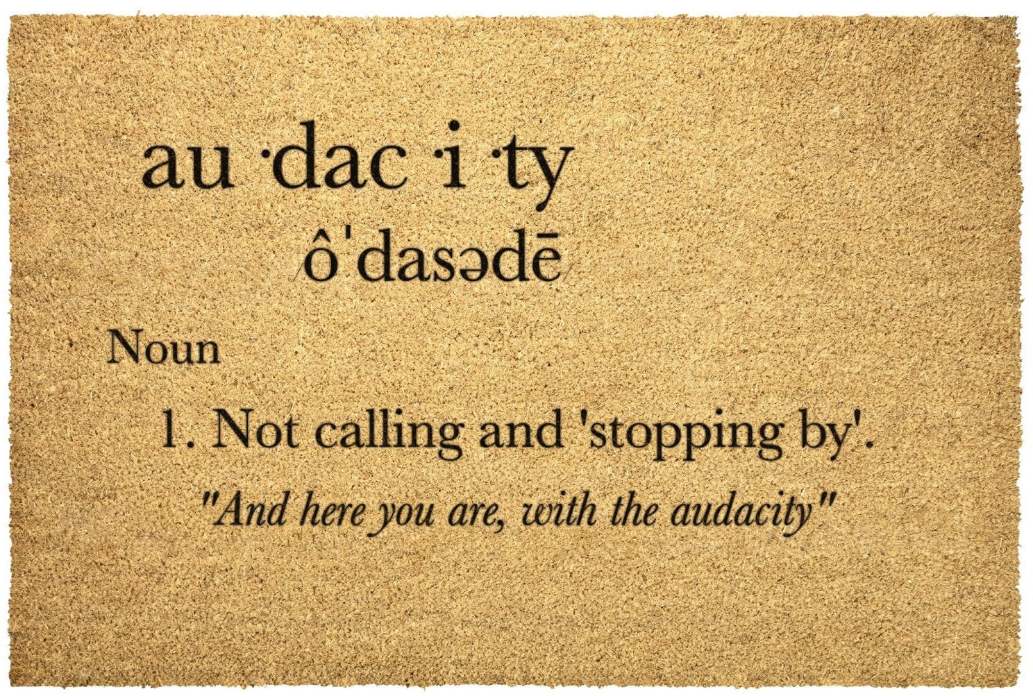 Audacity Door Mat Dictionary Mat Definition Rug - Etsy