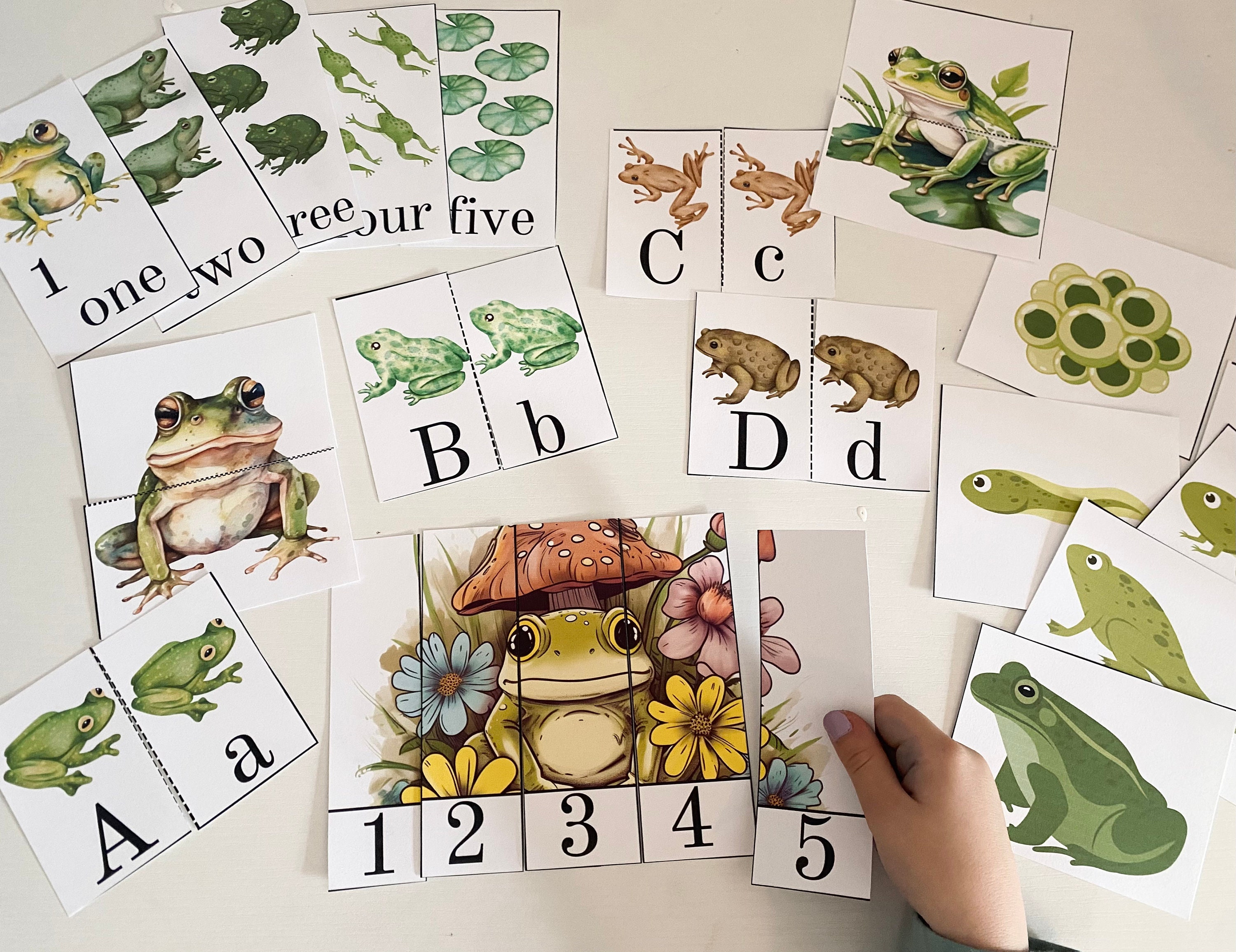 Frog & Toad Mini Unit - Etsy