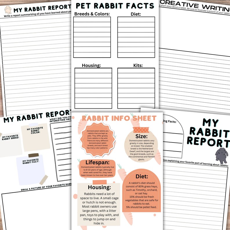 Bunny Unit BUNDLE, Spring Homeschool Unit, Rabbit Activity Bundle ...