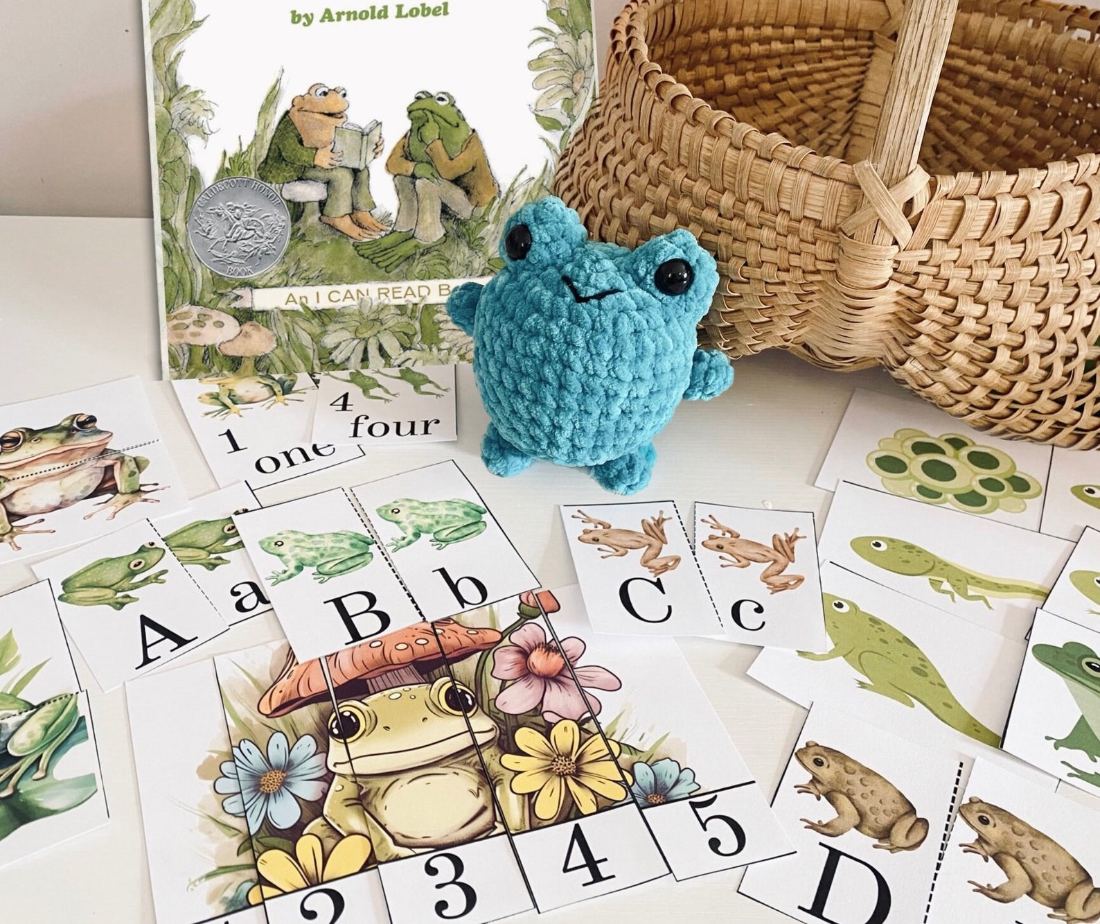 Frog & Toad Mini Unit - Etsy
