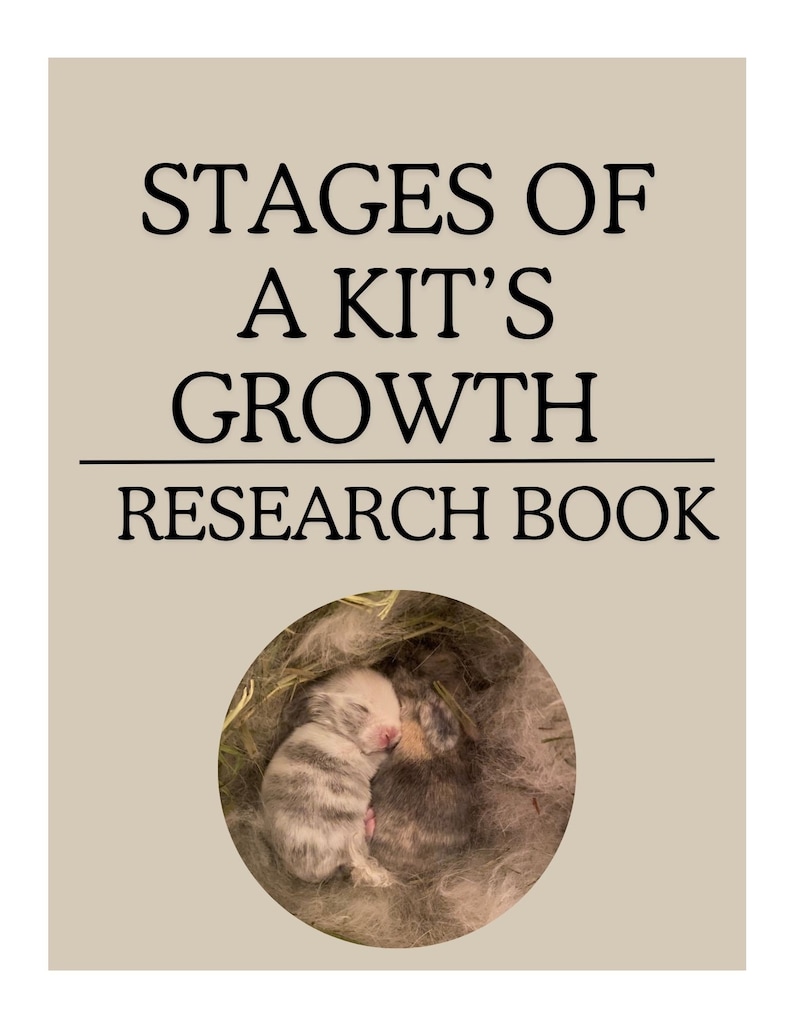 Stages of a Rabbit’s Growth Digital Book, Rabbit Kit Development ...